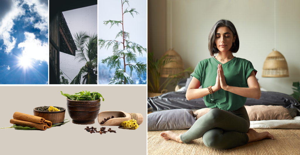 Rotina sazonal (Rutu Charya) em Ayurveda - Ayurveda Porto